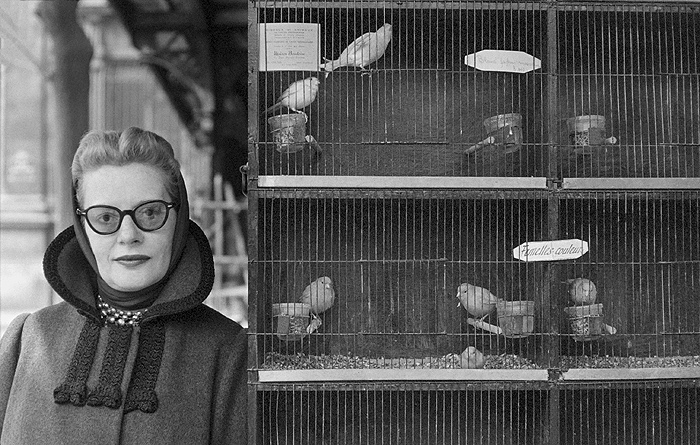 Photos - Fleur Cowles Paris 1955 #2055