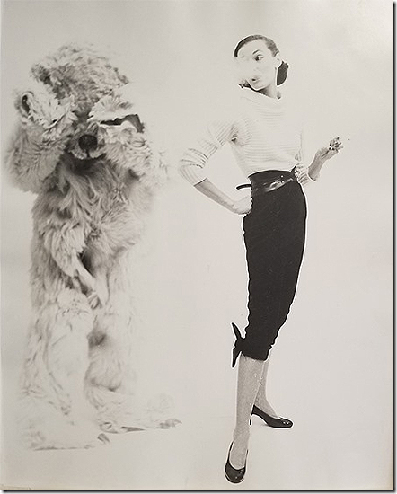 Exhibits - Tony Vaccaro - Monroe - Gallery of Phtography