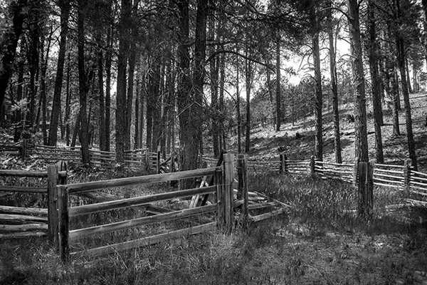 Photos - Fallen Fence, Arizona, 2019 #2431